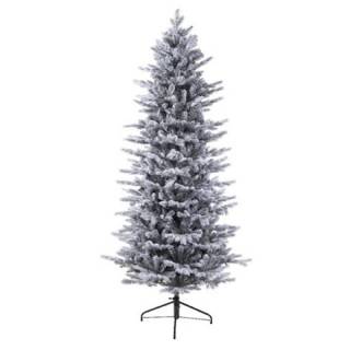 Novogodišnja jelka Frosted Grandis Fir 240cm