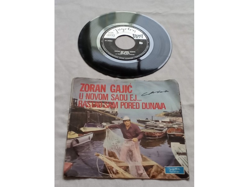 Zoran Gajić - U Novom Sadu Ej - Rastao Sam Pored Dunava