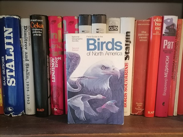 BIRDS of Nort America Grupa autora