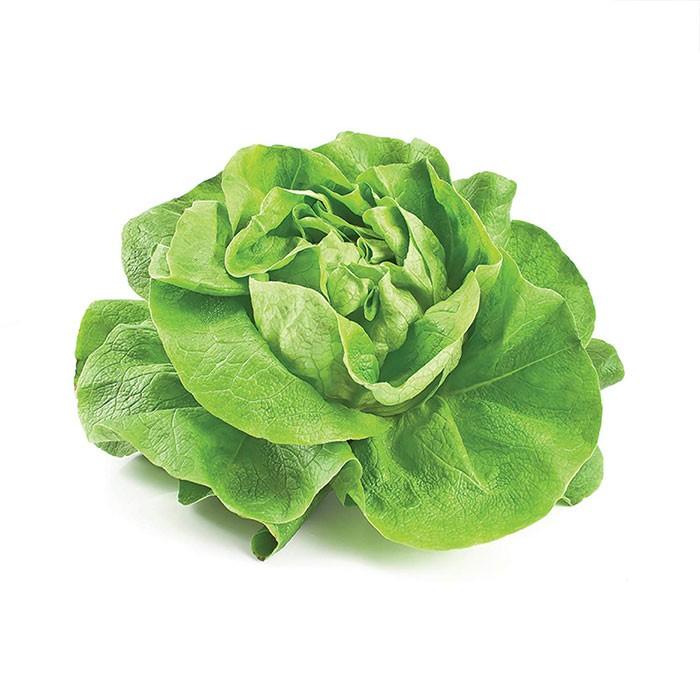 Organska salata zelena 1 komad