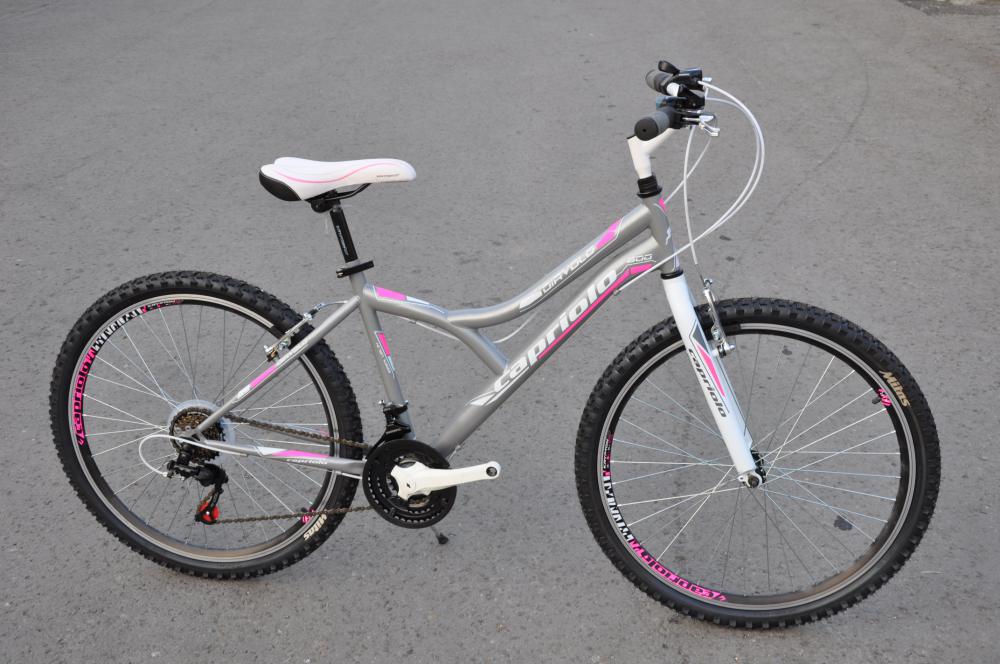 Bicikl MTB Capriolo Diavolo 600