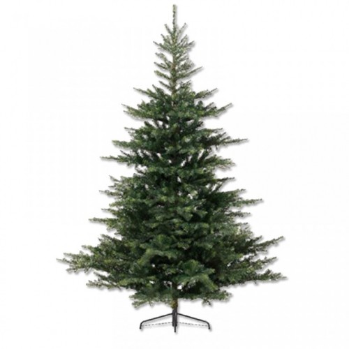 Novogodišnja jelka Grandis fir Everlands 150cm