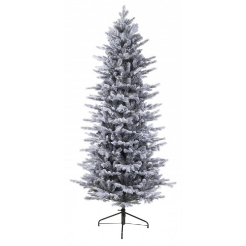 Novogodišnja jelka Grandis fir frosted Everlands 240cm