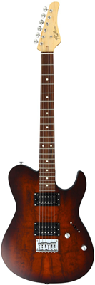 FGN Fujigen JIL2EW1G/IBS električna gitara