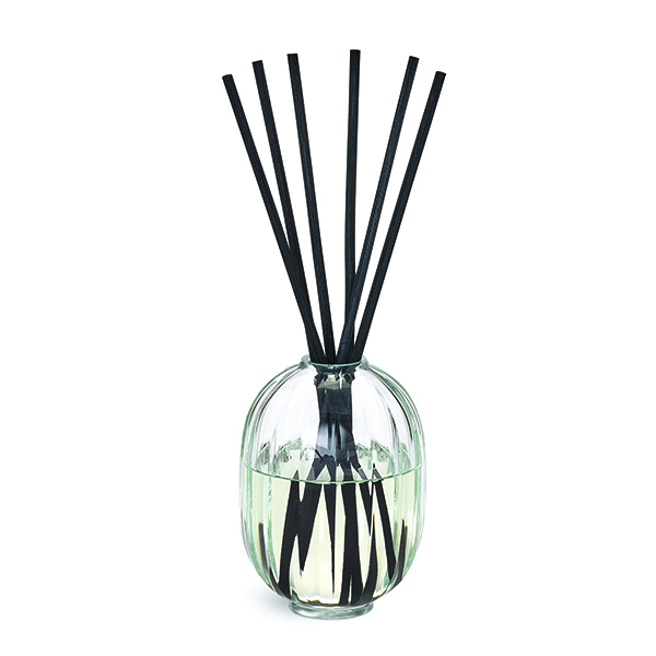 Reed Diffuser Baies + refill