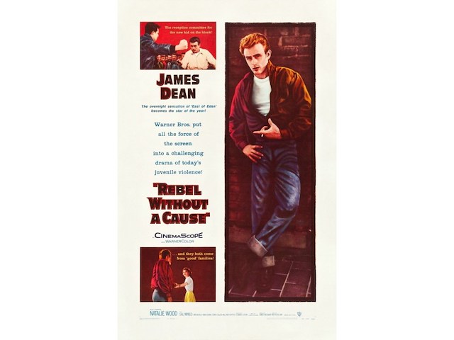 Rebel Without a Cause (1955)  (A3)
