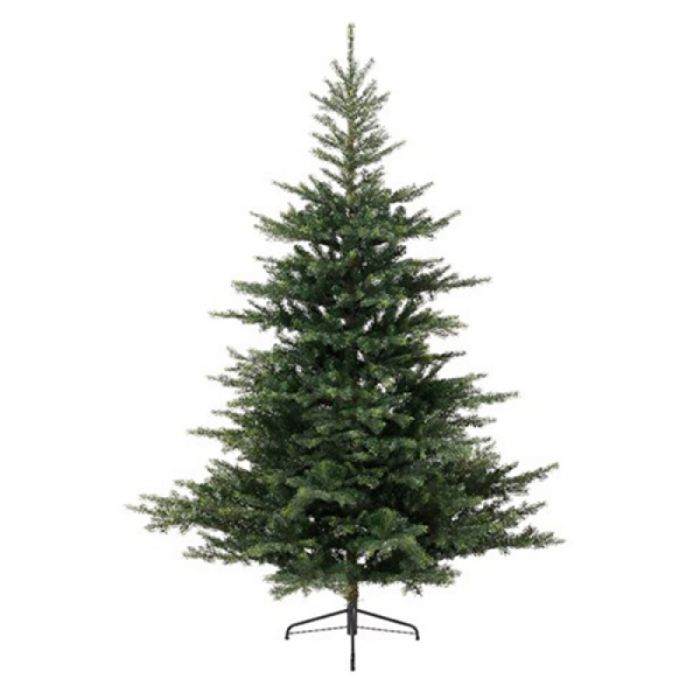 Novogodišnja jelka Grandis fir 180cm-132cm Everlands