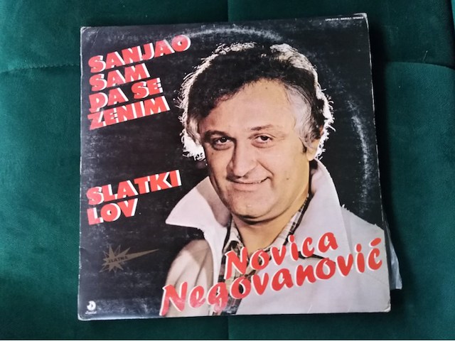 Novica Negovanovic - Sanjao sam da se zenim