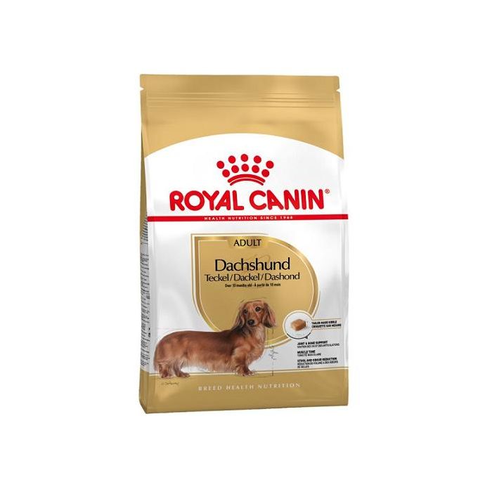 Royal Canin DACHSHUND (Jazavičar)