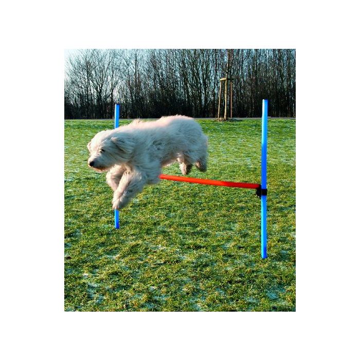 AGILITY PREPONA