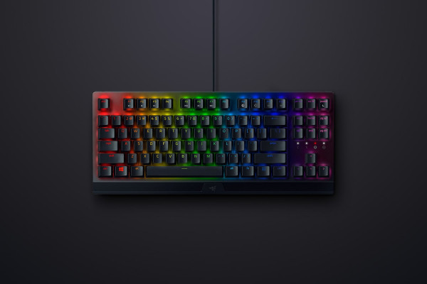 Razer BlackWidow V3 Tenkeyless