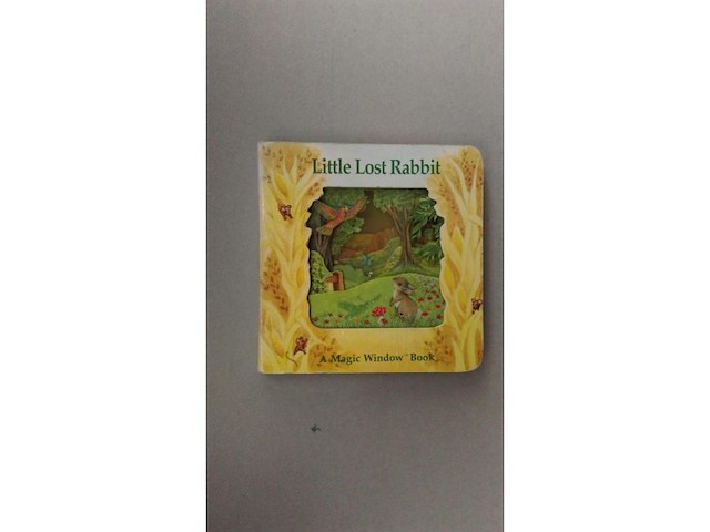 Little Lost Rabbit - A Magic Window Book Stewart Cowley