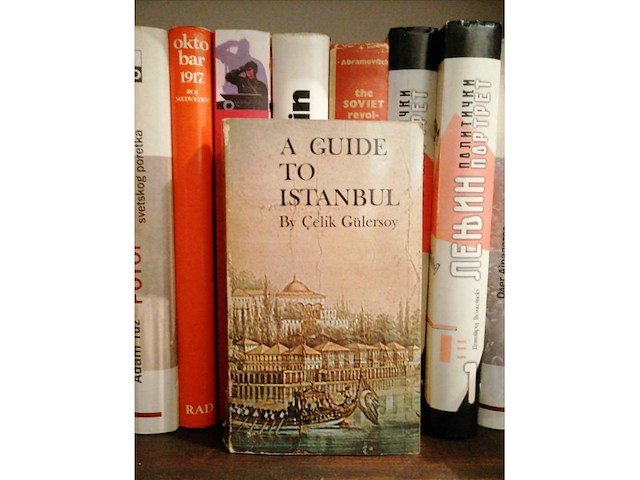 A GUIDE TO ISTANBUL By Celik Gulersoy
