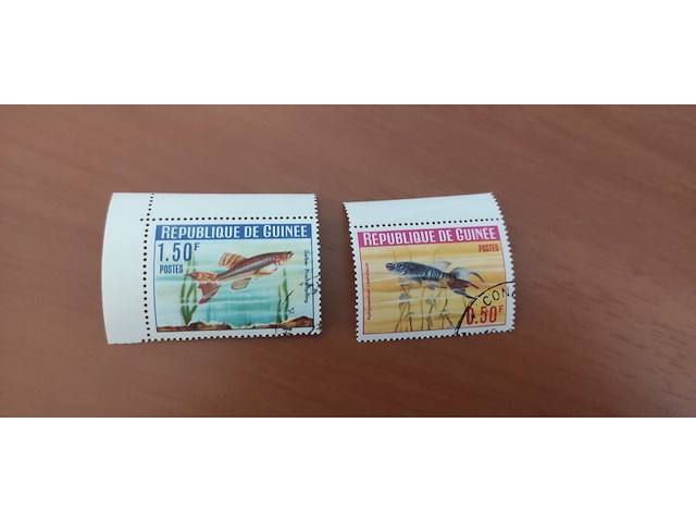 Gvineja