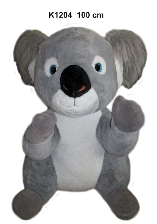 Koala 160256