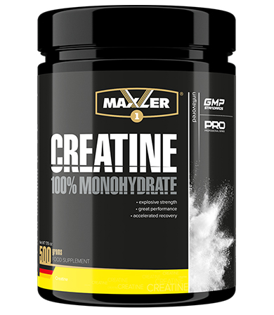 CREATINE CAN 500GR