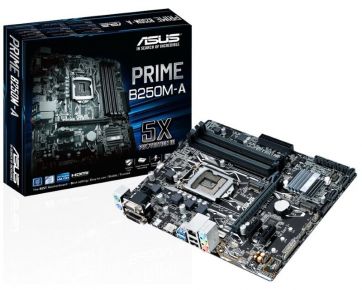 ASUS - PRIME B250M-A