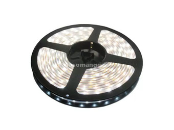 LED traka hladno bela 60 LED / 1m LTR5050/60W-12S