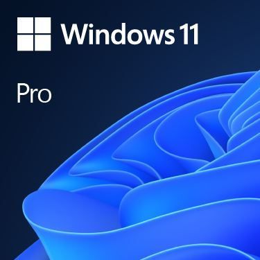 Microsoft - MS OEM Windows 11 Pro Eng 64-bit, FQC-10528