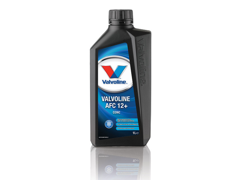 ANTIFRIZ VALVOLINE AFC 12+ CONC12/1L