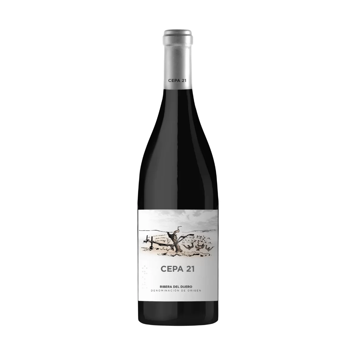 Bodegas Cepa 21