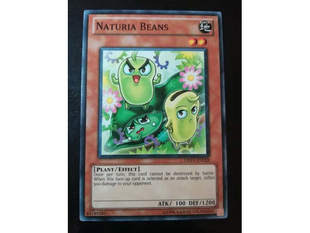Yu-GI-OH!- Naturia Beans