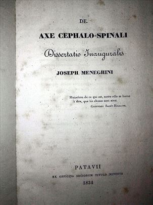 De axe cephalo-spinali - Joseph Meneghini