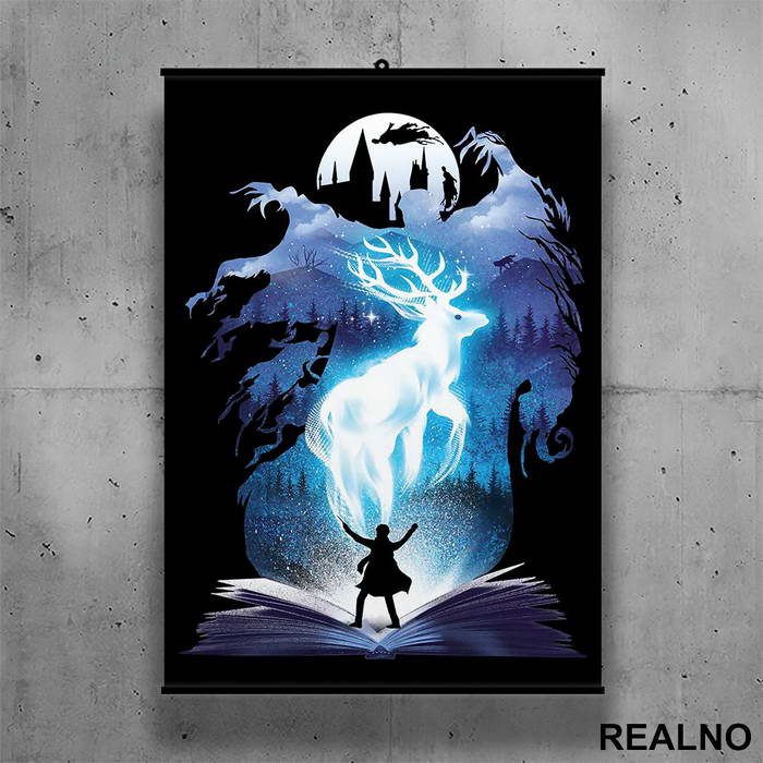 DEMENTOR DOUBLE EXPOSURE - HARRY POTTER - POSTER SA NOSAČEM