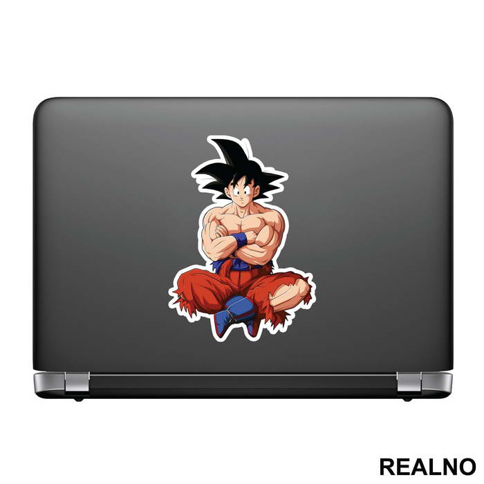 HOVERING - GOKU - DRAGON BALL - NALEPNICA