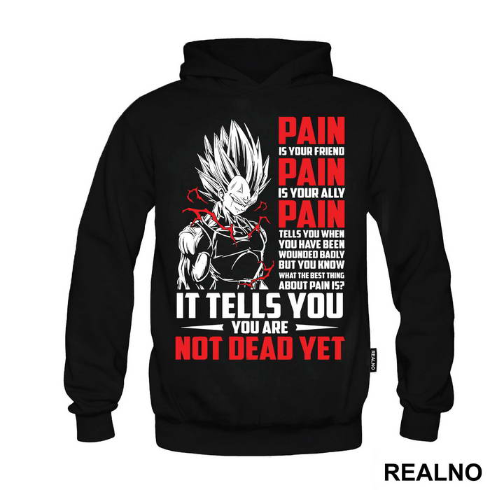 PAIN IS YOUR FRIEND. PAIN IS YOUR ALLY - GOKU - DRAGON BALL - DUKS