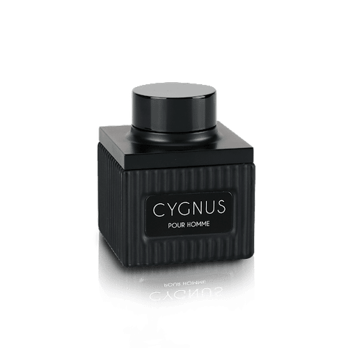 Flavia CYGNUS POUR HOMME edp 100ml