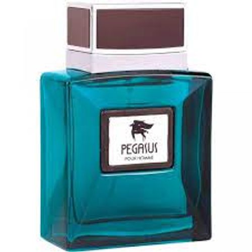 Flavia PEGASUS POUR HOMME edp 100ml