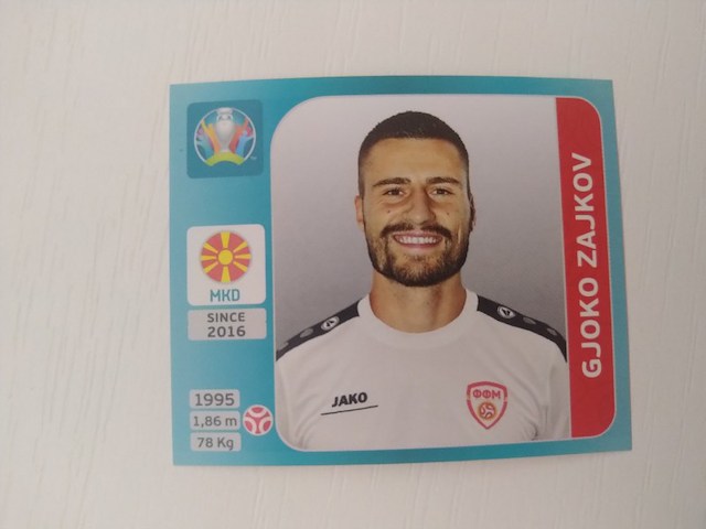 Panini EURO 2020 tournament edition sličica broj 285