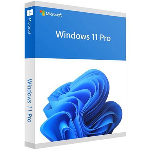 Microsoft Windows 11 Pro 64Bit English | FQC-10528