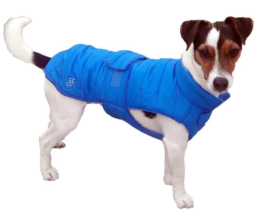 Zimski kaputić za psa SCALDOSO plavi