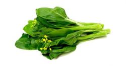 Kineski brokoli (seme) Kailaan Choy Sum