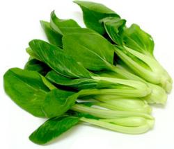 Pak Choi (seme) vrsta kineskog kupusa