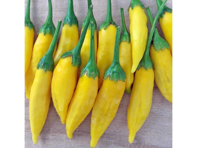 LEMON DROP Heirloom Cili paprika (seme)