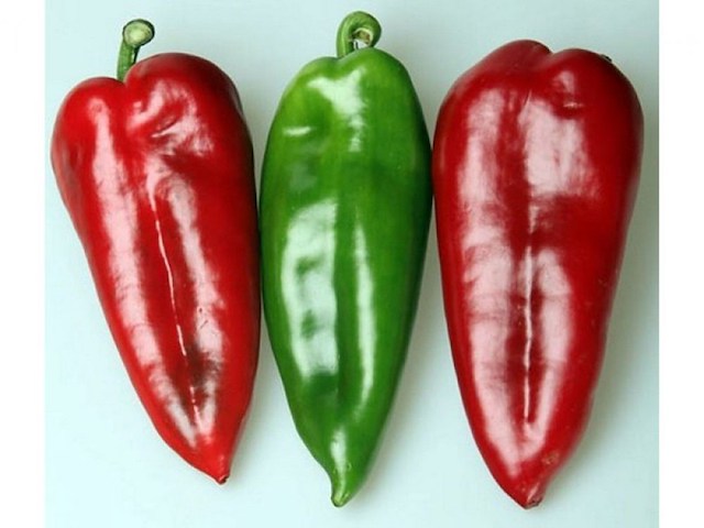 Paprika Amfora (seme)