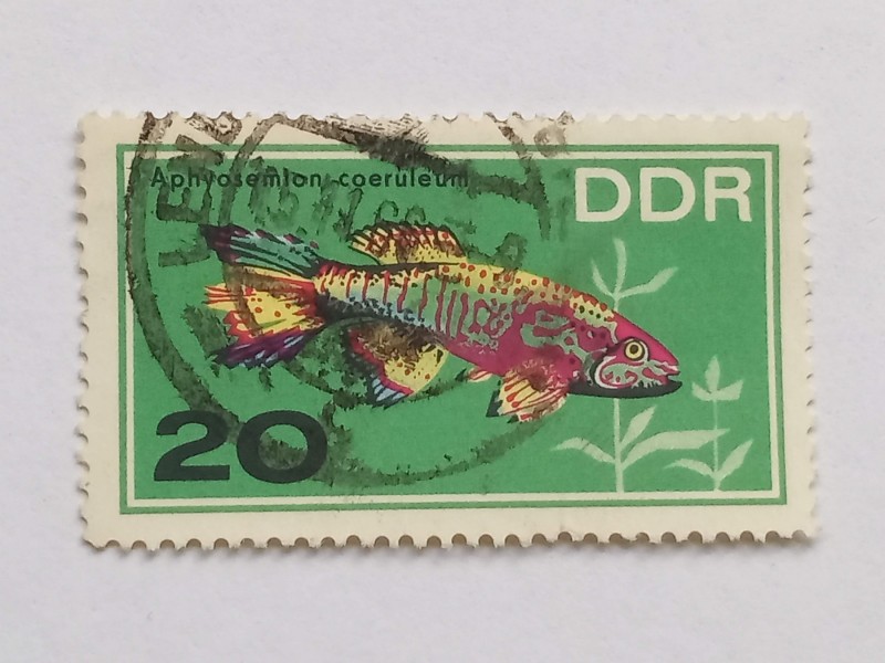 Nemačka DDR - Riba -