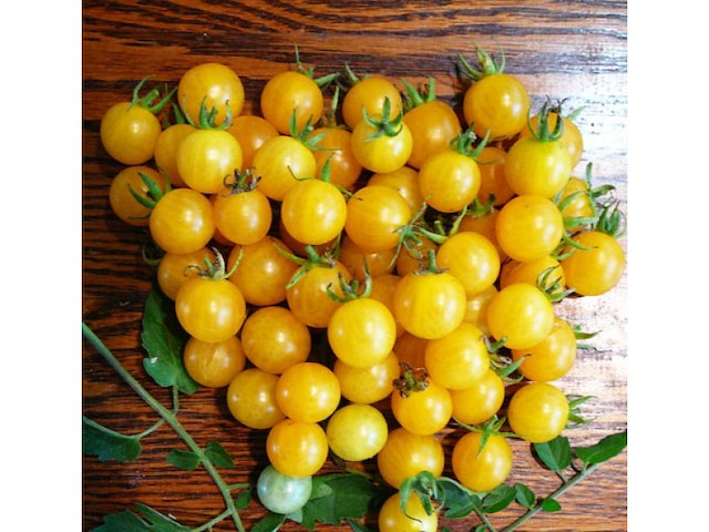Cherry zuti paradajz (seme) heirloom