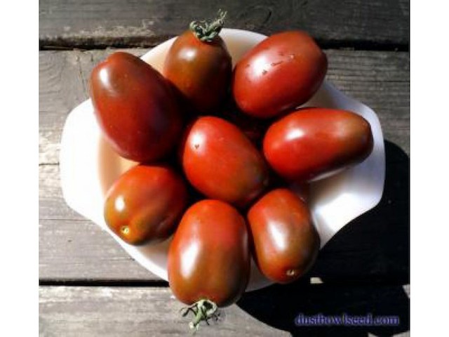Paradajz Black plum heirloom - Crna sljiva paradajz (se