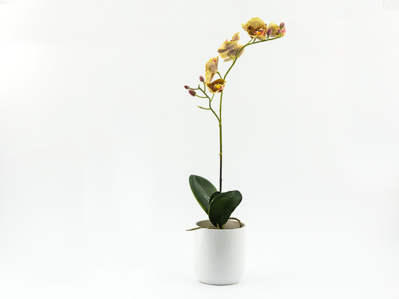 Veštačka orhideja
