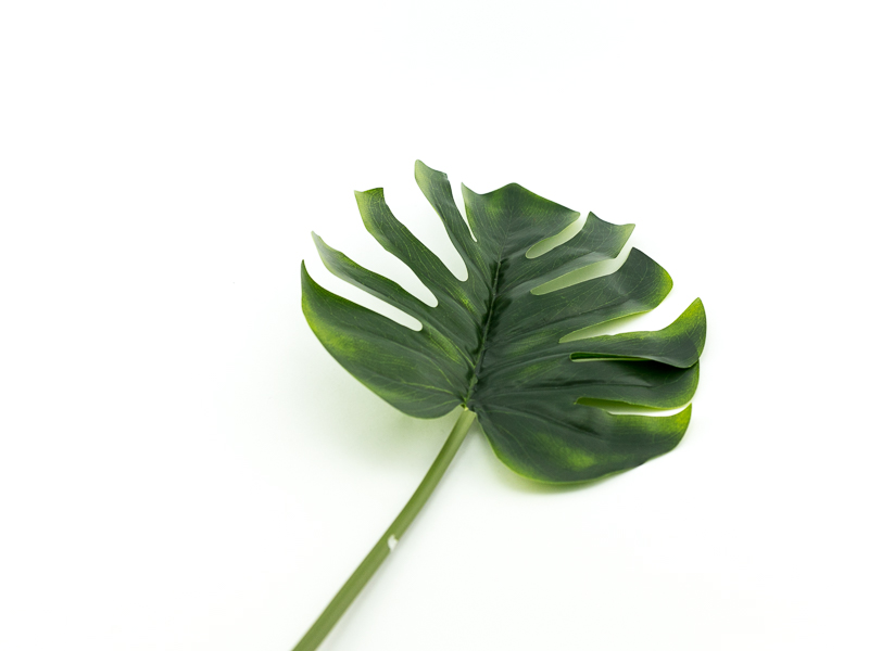 Vestacki Monstera list M