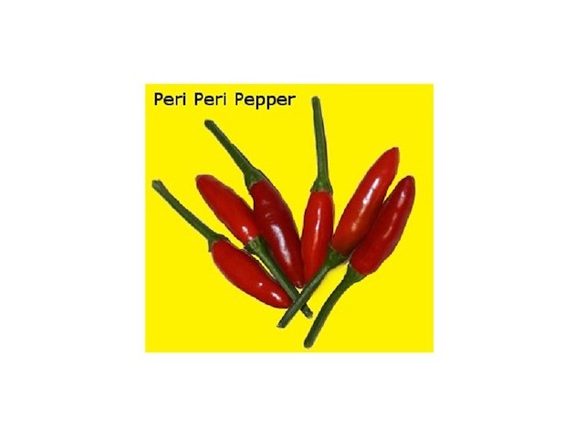 Piri - piri - Cili paprika (seme)
