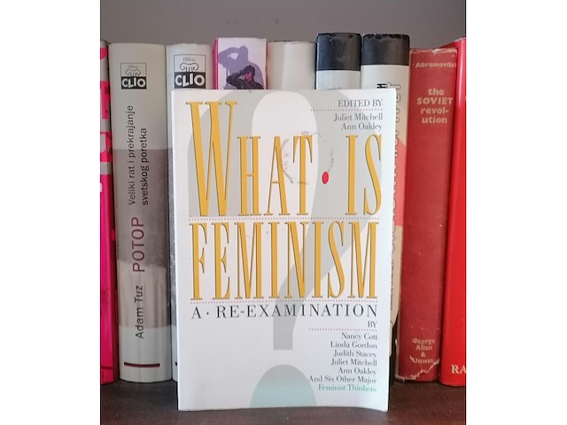 WHAT IS FEMINISM a re examination
