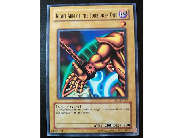 Yu-GI-OH!- Right Arm of the Forbidden One