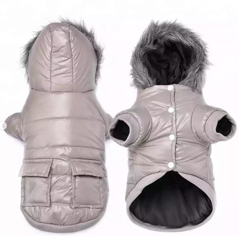 Zimska jakna za male pse Teddy