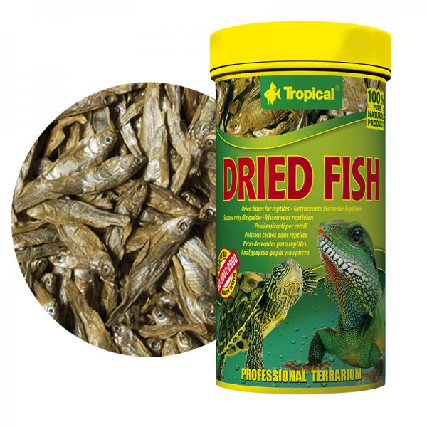 Tropical DRIED FISH