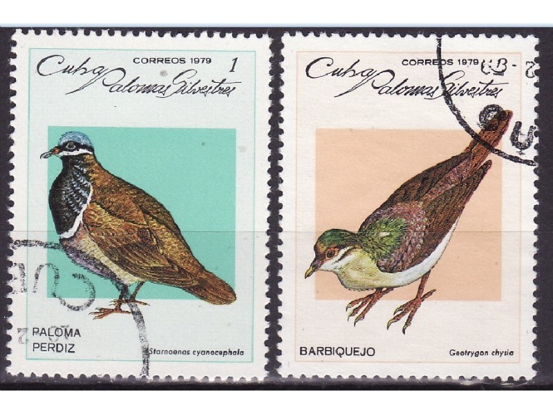 Kuba - ptice